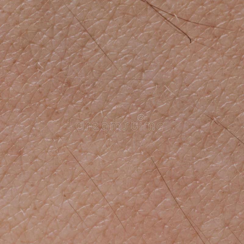 Human Skin Texture Map