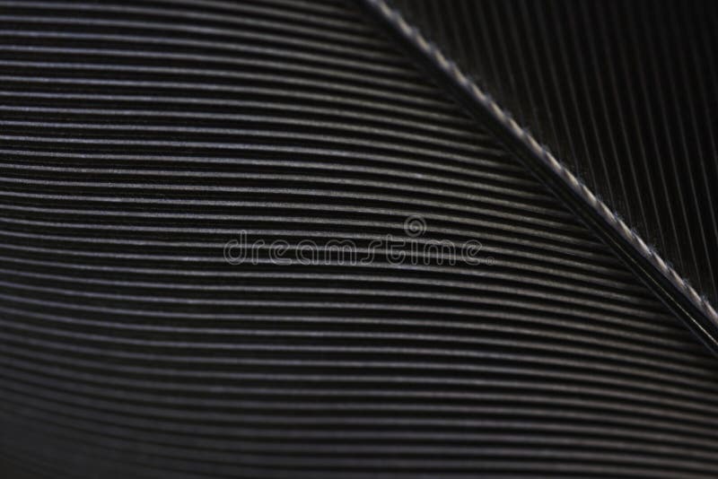 Black Raven Feather Macro Texture Close-up Stock Image - Image of color ...