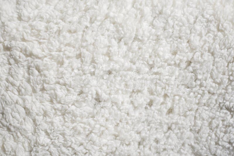 Close Up View of a White Wool Texture Stock Photo - Image of daylight ...