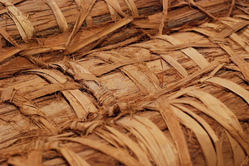 107 Bark Stringy Texture Stock Photos - Free & Royalty-Free Stock ...