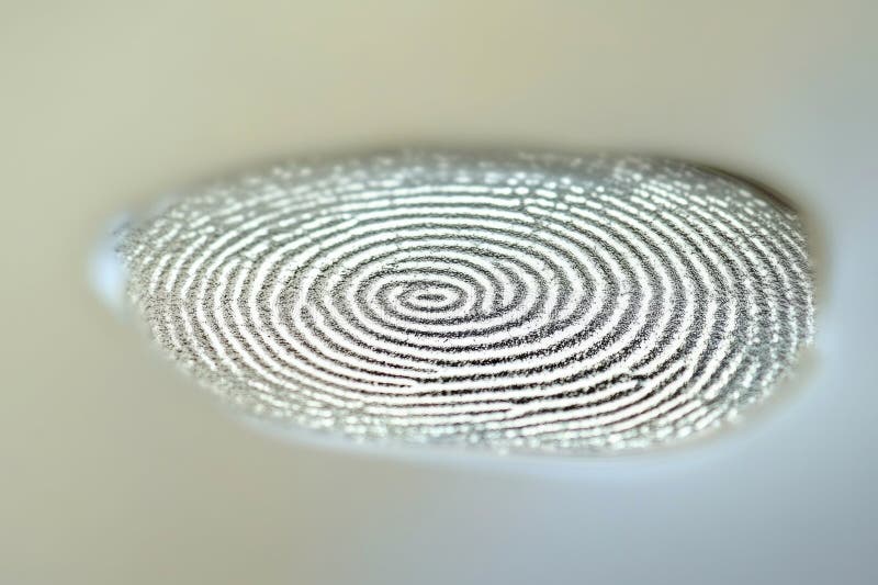 Close-up of Detailed Fingerprint Pattern on Smooth Surface Stock ...