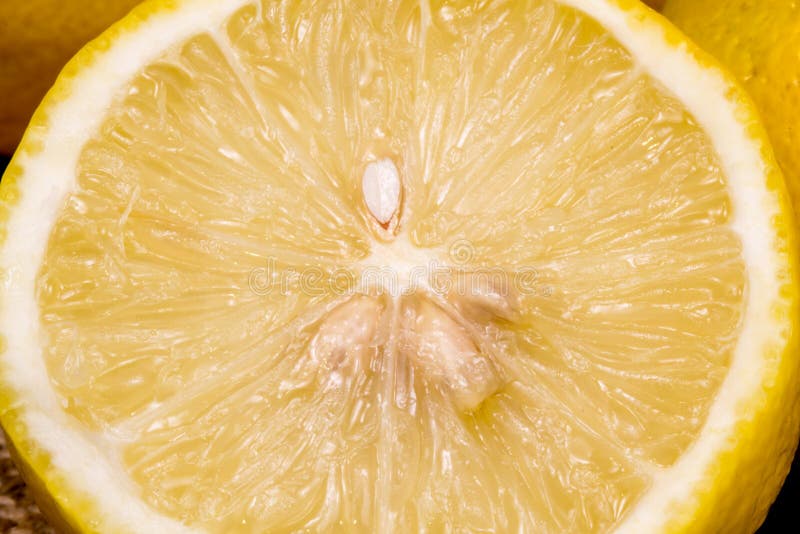 Close Up Detailed Lemon Seeds Stock Photos - Free & Royalty-Free Stock ...