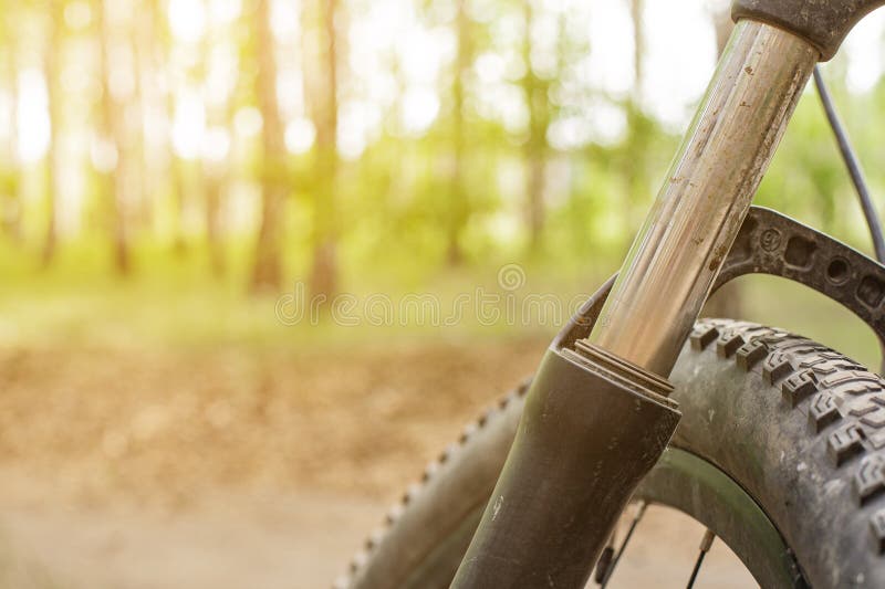 Close-up Details of a Bike Against a Blurred Forest Background, Front ...