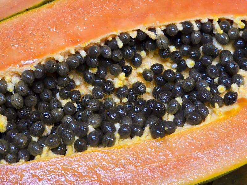 The Close-up Details of Papaya Seeds. Stock Photo - Image of cantonese ...