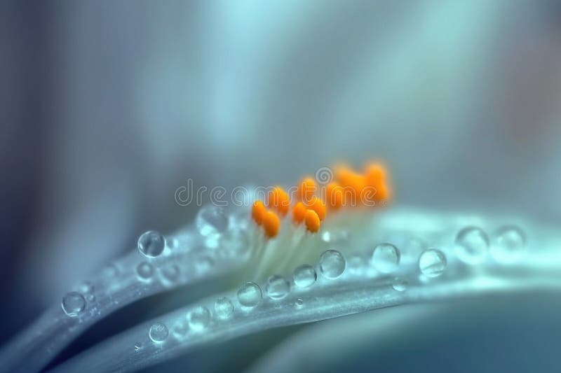 Gentle Blue Lines Run Horizontally, Merging with Soft Pink Strokes in ...