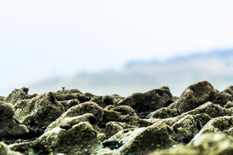 Close-up of a Different Beach, Sharp Stones Stock Image - Image of ...