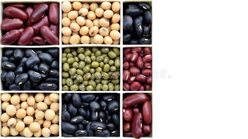 Close Up of Different Beans in Box Stock Photo - Image of closeup ...