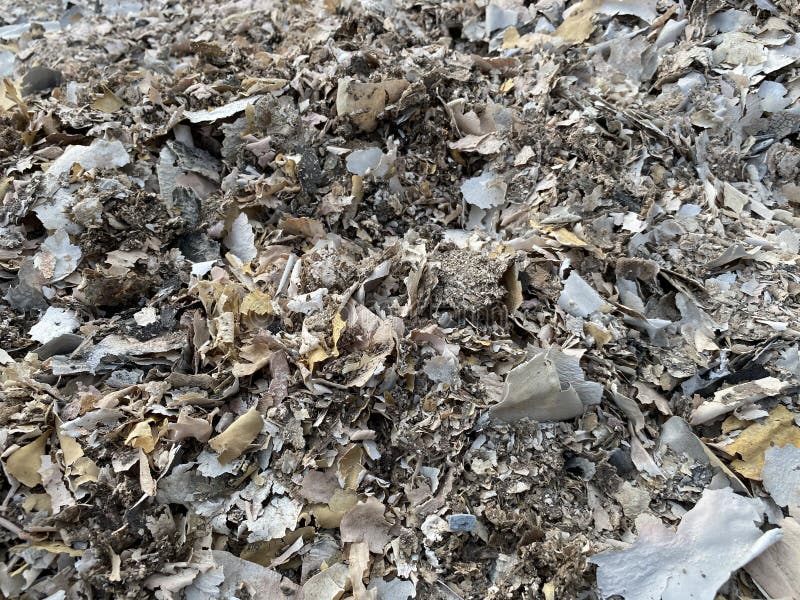 Dirty ash on the ground stock image. Image of ground - 207005565