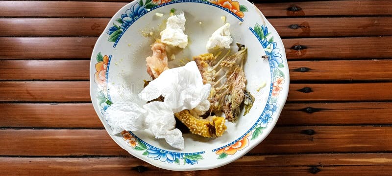 Dirty Empty Plate with Tissue and Fish Bone 02 Stock Image - Image of ...