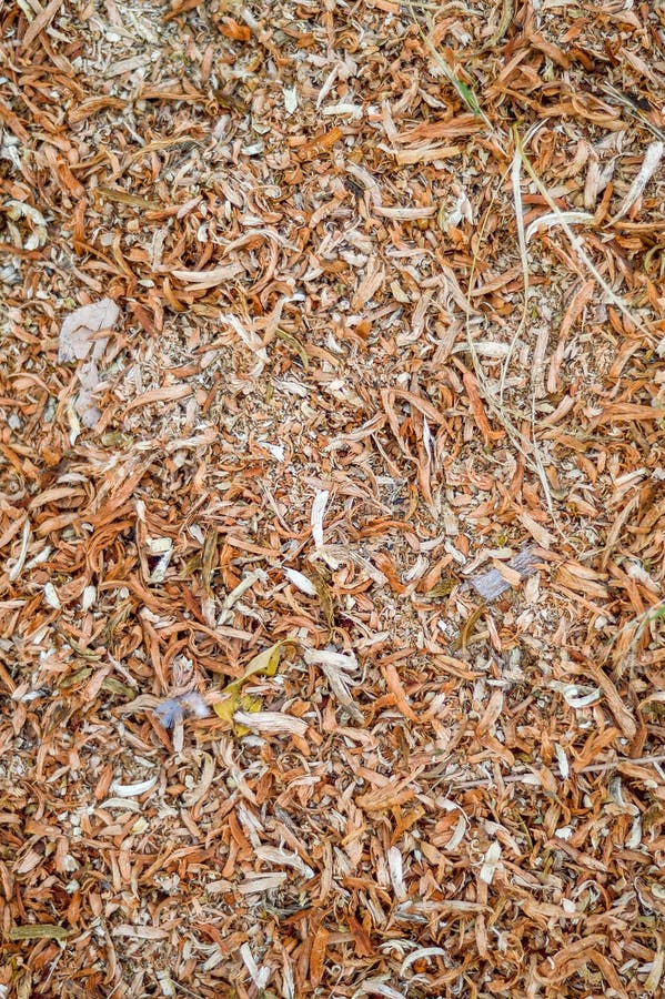 Sawdust texture stock image. Image of natural, timber - 124675567