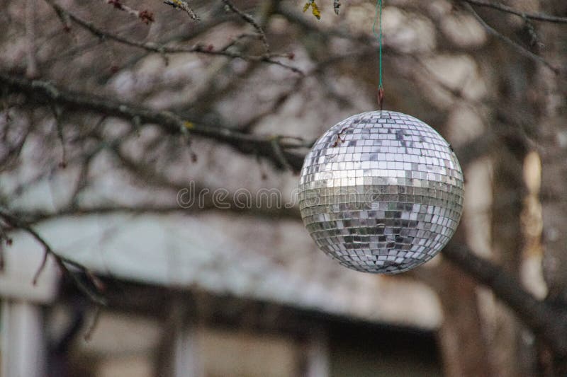 Close Up of a Disco Ball Hanging in Tree Stock Photo - Image of disco ...