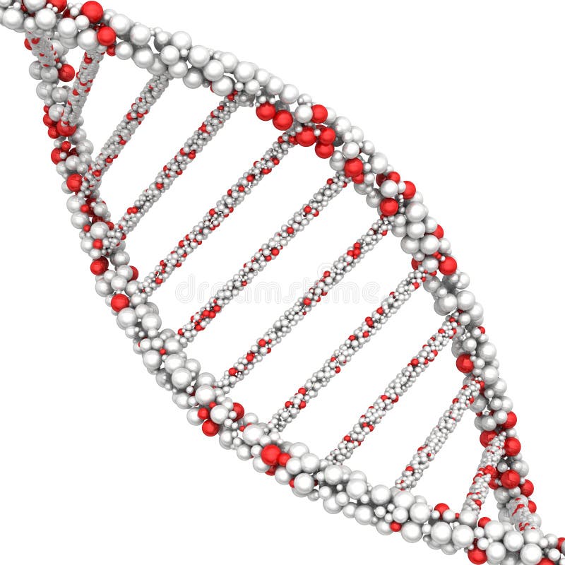Close-up of the DNA Molecule. 3d Render on a White Stock Illustration ...