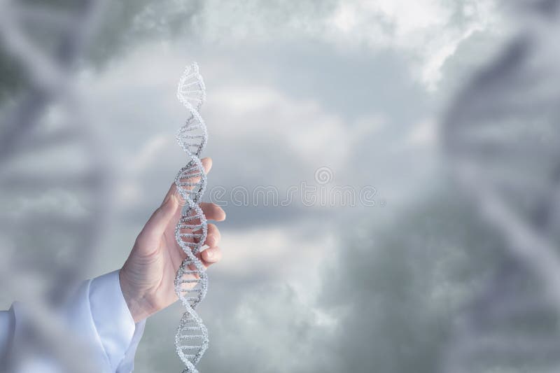 Close-up of Doctor Holding DNA Molecule Stock Photo - Image of compound ...