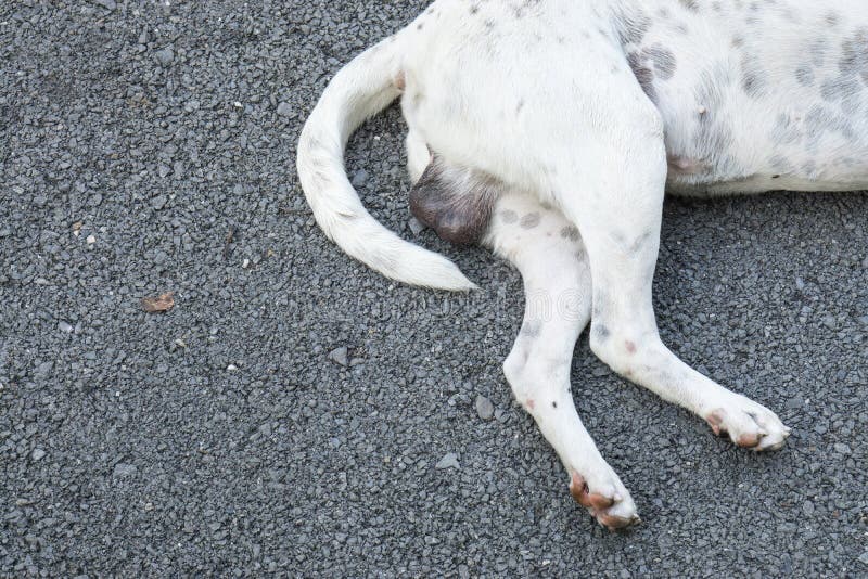 Crop Top Chain Back Stock Photos - Free & Royalty-Free Stock Photos ...