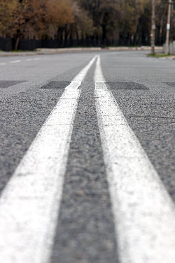 208 Asphalt Double White Lines Texture Stock Photos - Free & Royalty ... 208 Asphalt Double White Lines Texture Stock Photos - Free & Royalty ...