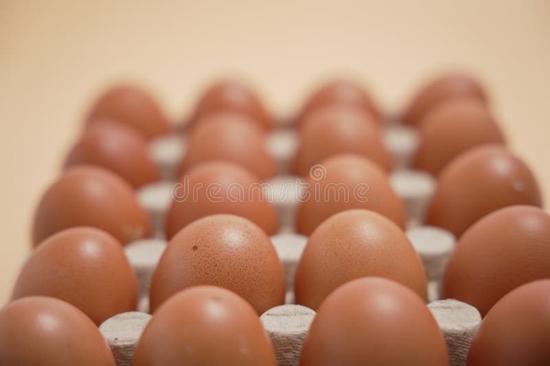 A Close Up of a Dozen Eggs in a Carton Stock Image - Image of organic ...