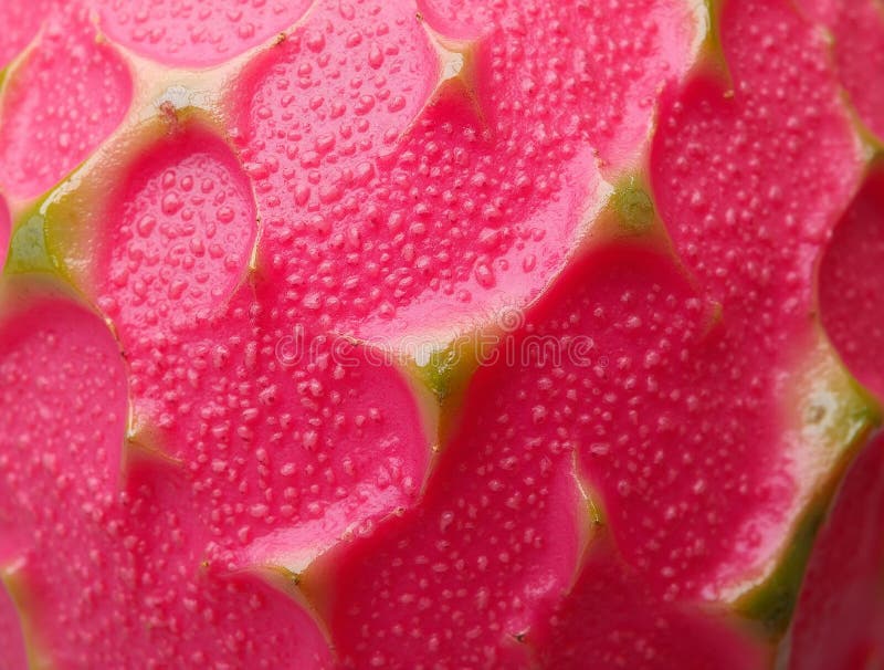 A Close-up of a Dragon Fruit, Showcasing Its Bumpy, almost Granular ...