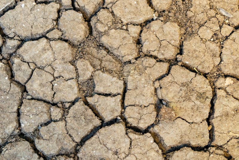 Close Up Dried Soil in Nature Stock Photo - Image of cracked, brown ...