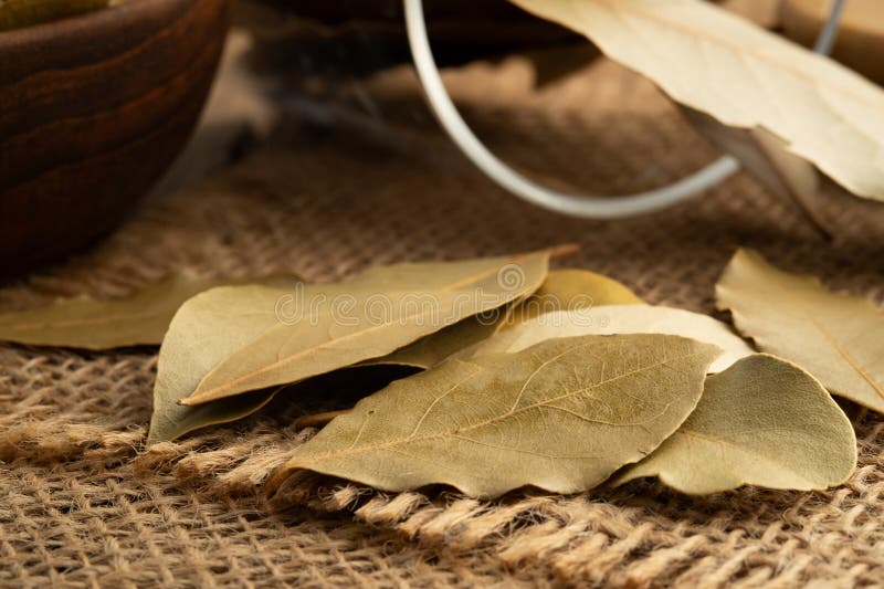 Close up dried Bay leaf stock image. Image of copyspace - 331366867