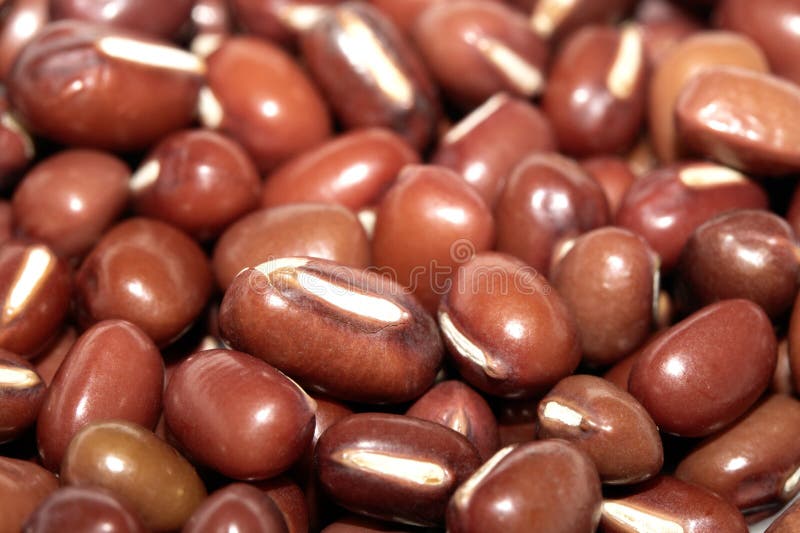 Close Up of Dried Beans Red Adzuki Mung on a White Background Stock ...