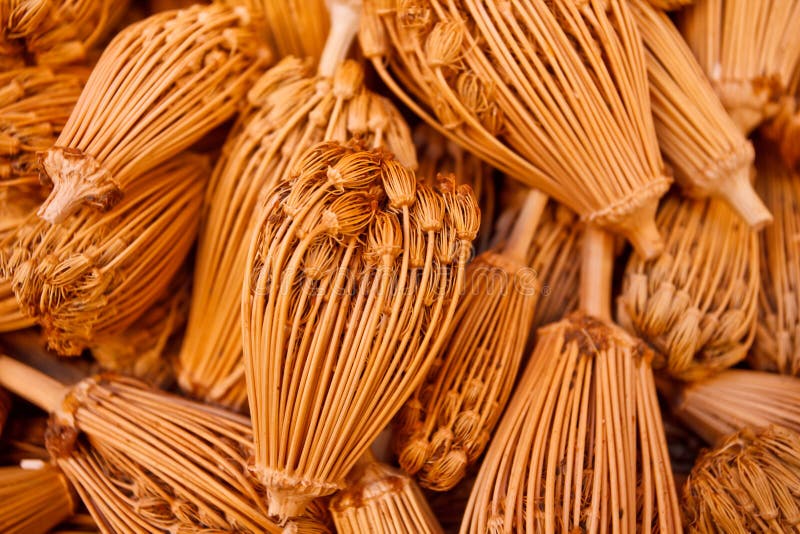 Close-up of Dried Dill Flower Bulbs Stock Photo - Image of abstract ...