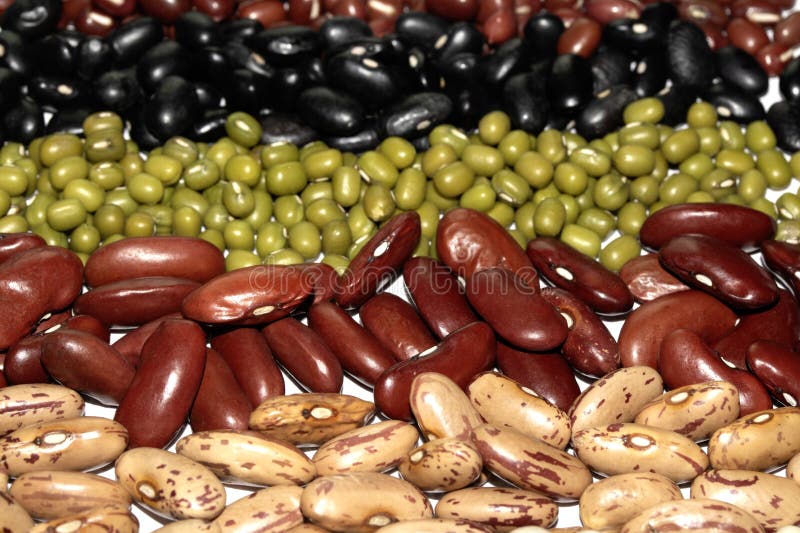 A Close Up of Dried Mixed Beans and Pulses in Lines on a White ...