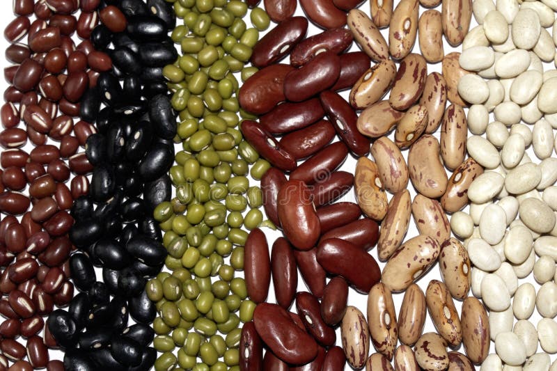 A Close Up of Dried Mixed Beans and Pulses in Lines on a White ...