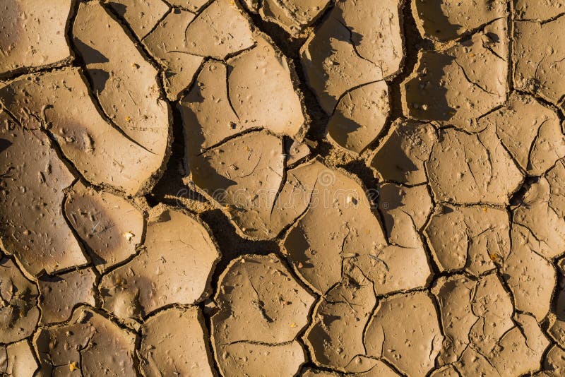 Close up of dried puddle stock photo. Image of muddy - 63654978