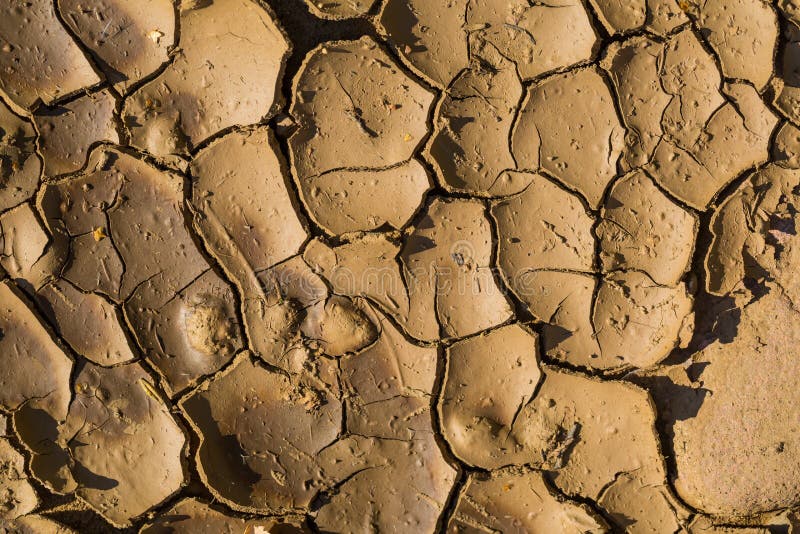 A Dried Puddle, Drought Desert Stock Image - Image of flower, white ...