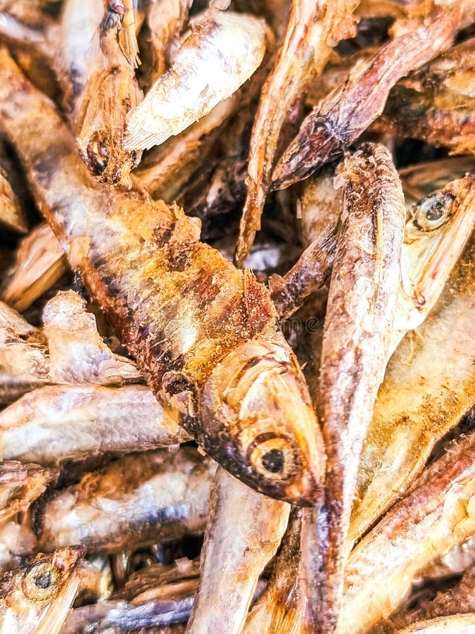Close-up of Dried Small Fish Stock Image - Image of closeup ...