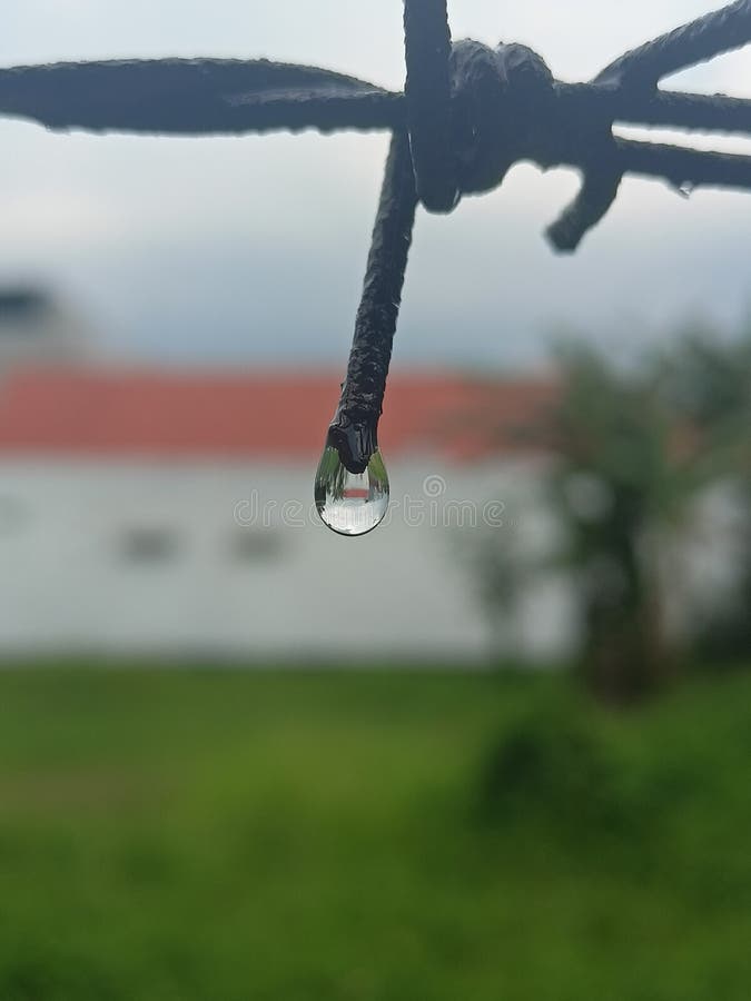 Close-up of a Drop of Water on the End of a Wire. Cast a Shadow from ...