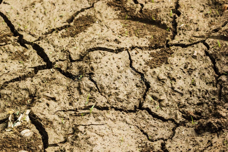 Broken ground stock photo. Image of dryness, dirt, close - 15776420