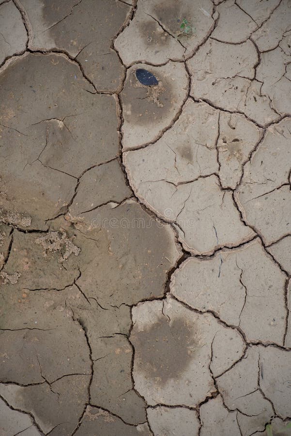 Close Up of Dry Cracked Ground for Background.Dry Soil Arid Stock Image ...