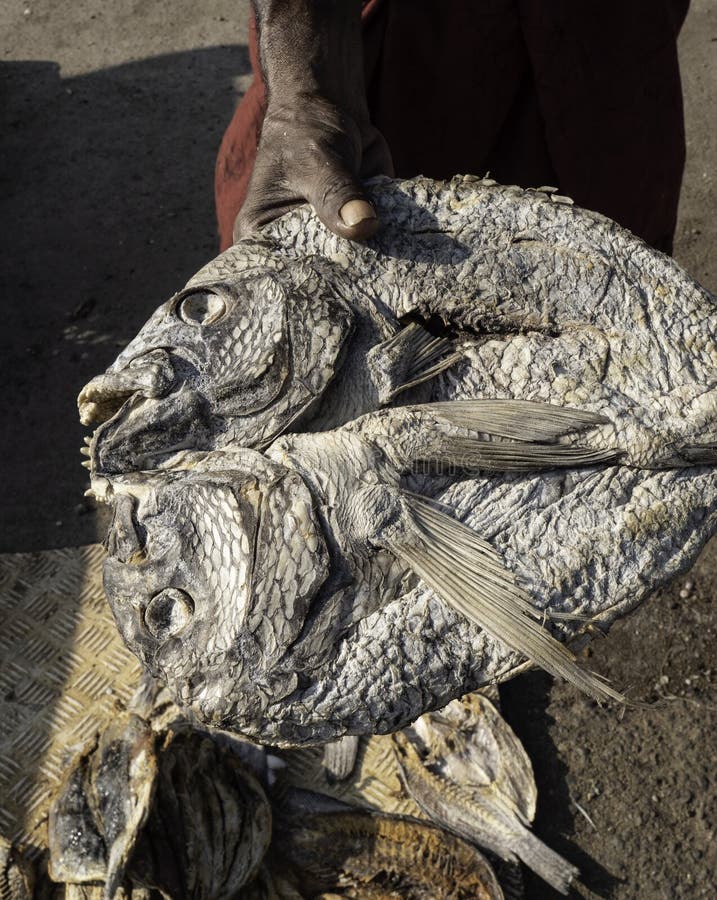 Close up of dry fish stock photo. Image of diet, freshwater - 220916762