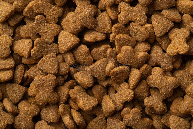 Close Up Dry Kibble Dog Food Stock Image - Image of adorable, kitty ...