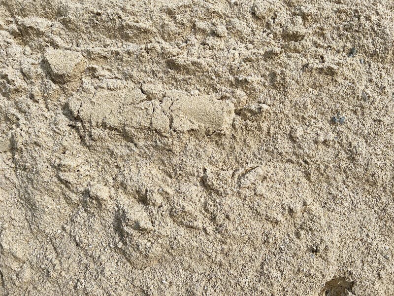 Dry sand texture stock photo. Image of textured, arid - 252383282