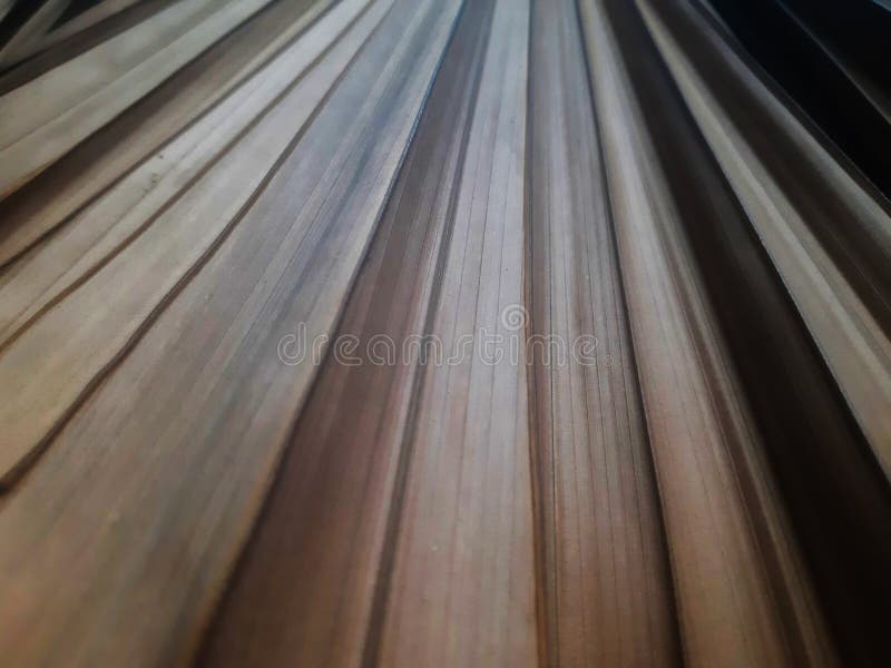 Close Up of Dry Straight Striped Leaves from a Coconut Tree Stock Image ...