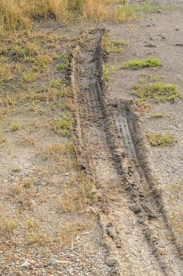 Dry Wheel Track on Dirt Soil Texture Stock Photo - Image of surface ...