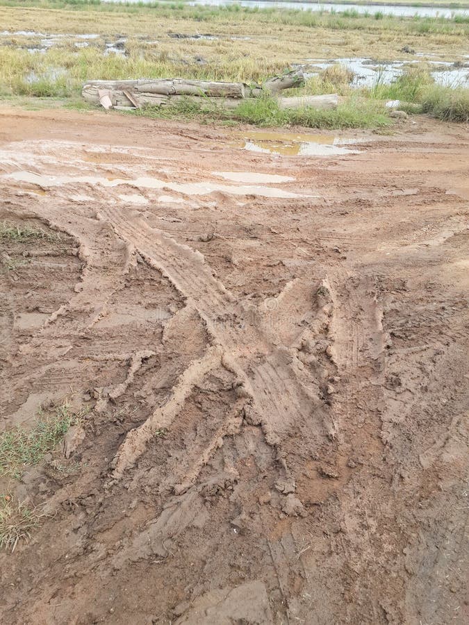 Dry Wheel Track on Dirt Soil Texture Stock Photo - Image of print ...