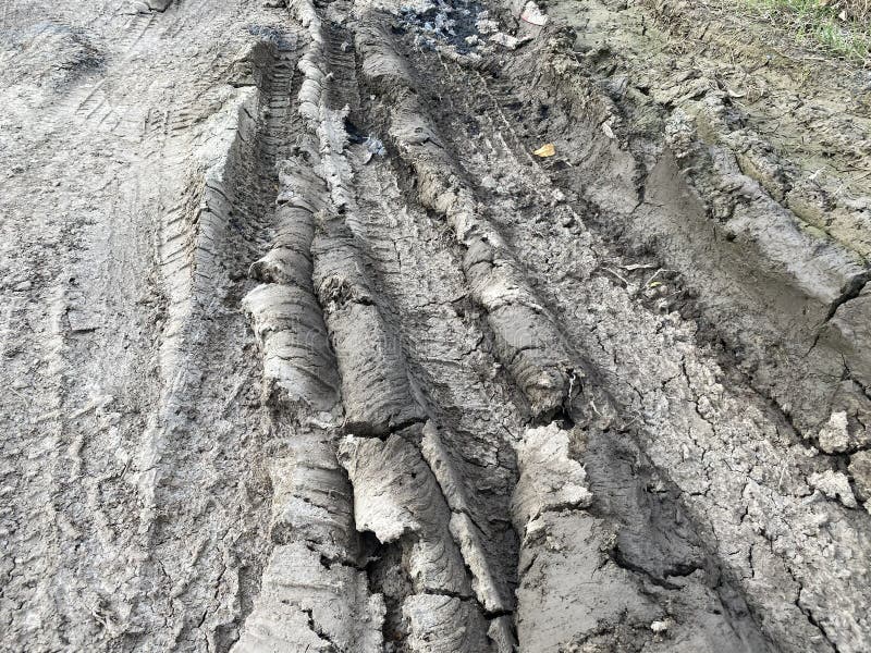 Dry Wheel Track on the Ground Stock Photo - Image of track, close ...