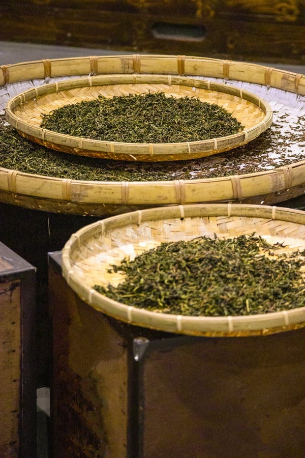 Tea Processing : Drying Tea Leaves Stock Image - Image of beverage ...
