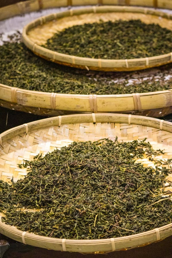 Tea Processing : Drying Tea Leaves Stock Photo - Image of black, herbal ...