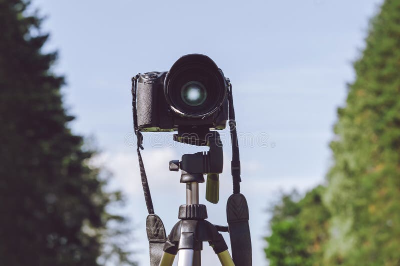 Close-up of DSLR Camera on a Tripod. Against the Backdrop of Forest and ...
