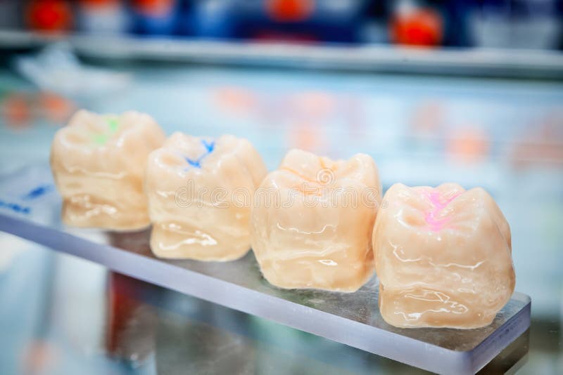 Close up of dummy teeth stock image. Image of checkup - 128408375