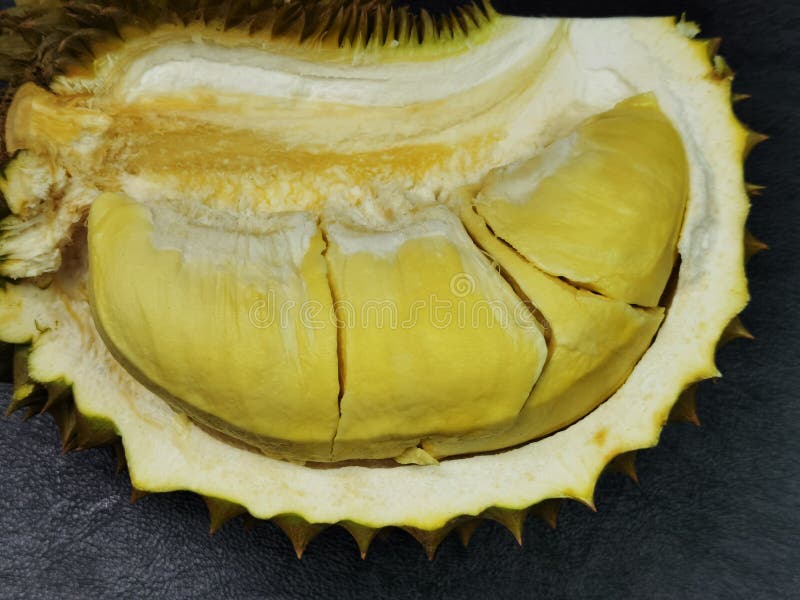 Durian Ripe and Part Isolated Stock Image - Image of piece, yellow ...