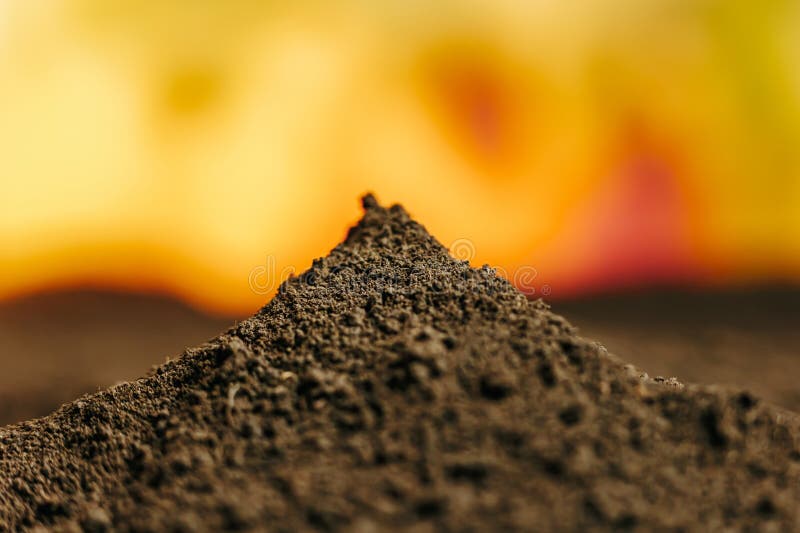 A Close-up of Dusty Soil on the Ground is Captured, Stock Photo - Image ...