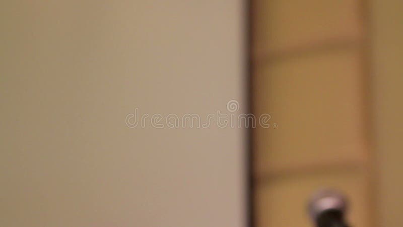 Close Up on a Dynamic Condenser Microphone on a Stand in a Big Venue ...