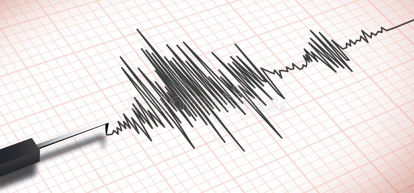 Polygraph or Seismometer Diagram. Seismogram or Lie Detector Graph ...