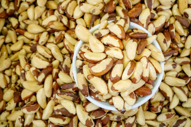 Close Up of Edible Brazil Nuts in the Bowl Stock Photo - Image of ...