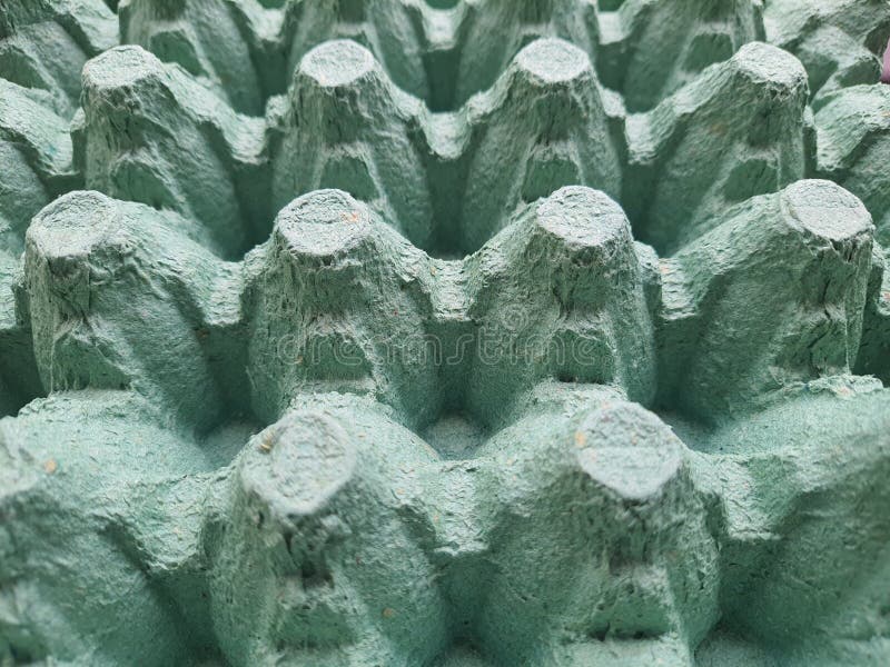 Papel Foto Koala Stock Photos - Free & Royalty-Free Stock Photos from ...